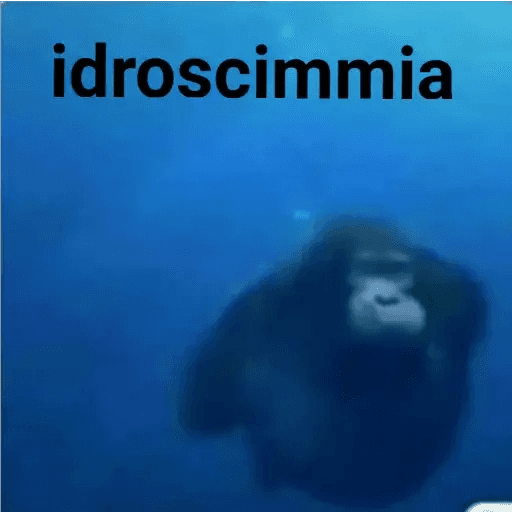 Scimmia - Download Stickers from Sigstick